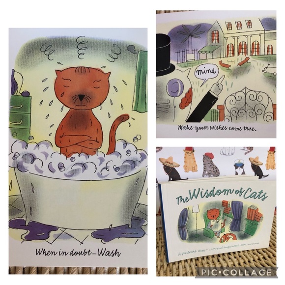 Vintage | Office | 9s The Wisdom Of Cats Postcard Book Cat Images Cat ...